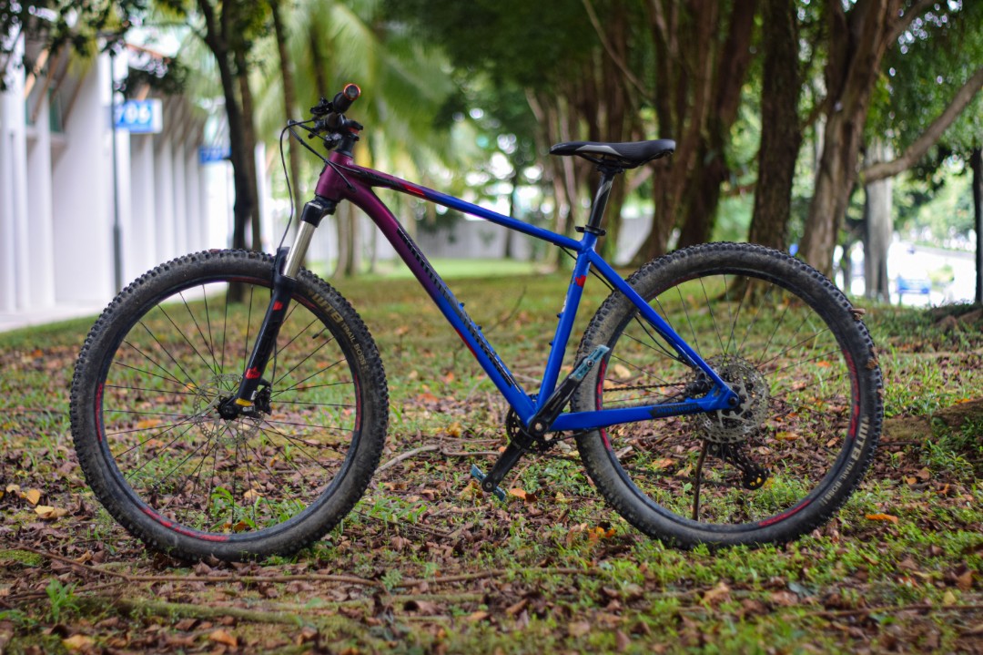 Polygon Xtrada 7 Limited Edition 2021, Bicycles & PMDs, Bicycles, Mountain Bikes on Carousell