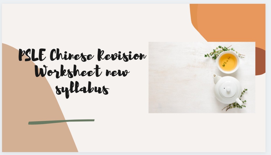 PSLE Chinese Revision Worksheet new syllabus, Everything Else on Carousell