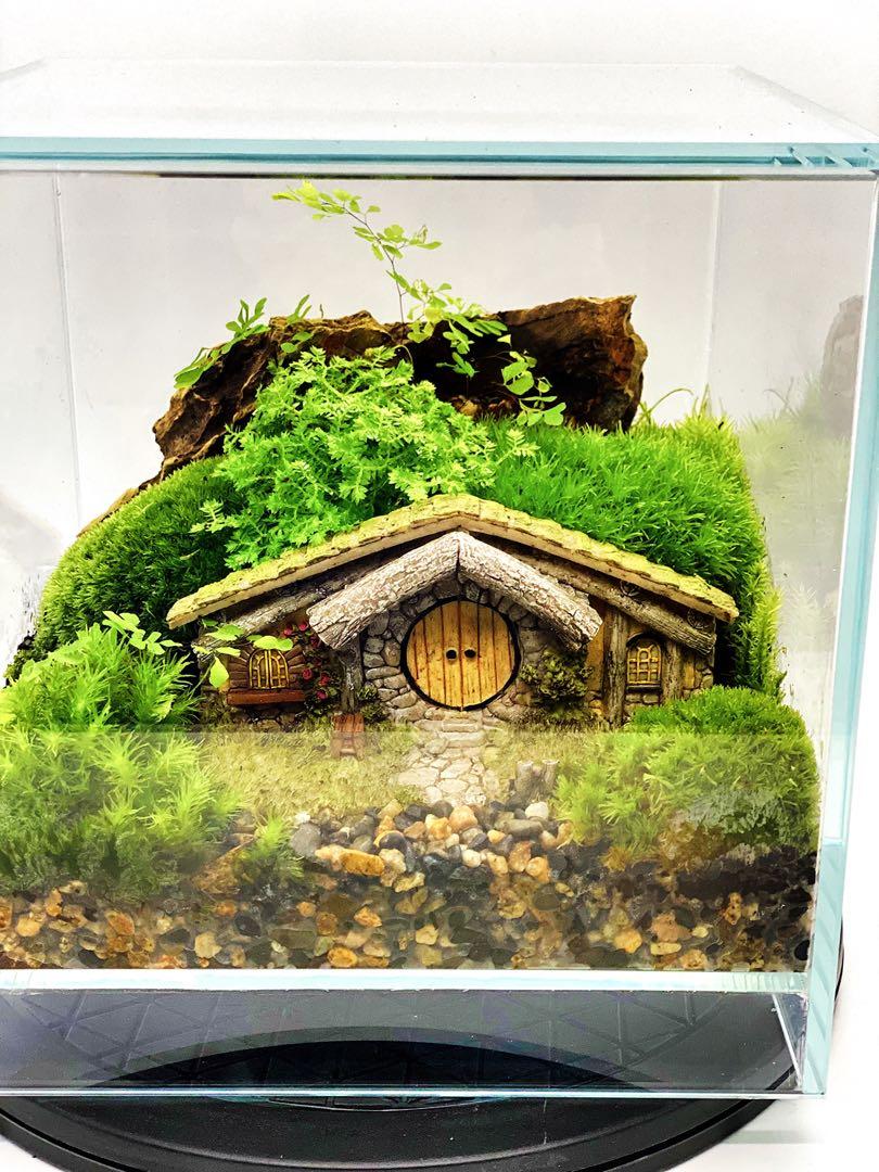 Hobbit theme terrarium, Furniture & Home Living, Gardening, Gardening ...