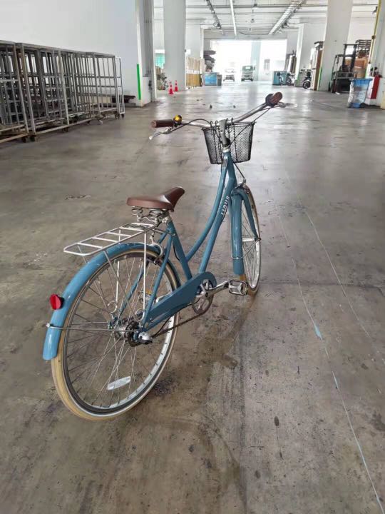 Linus City Bike Dutchi 3i, Sports Equipment, Bicycles & Parts, Bicycles ...