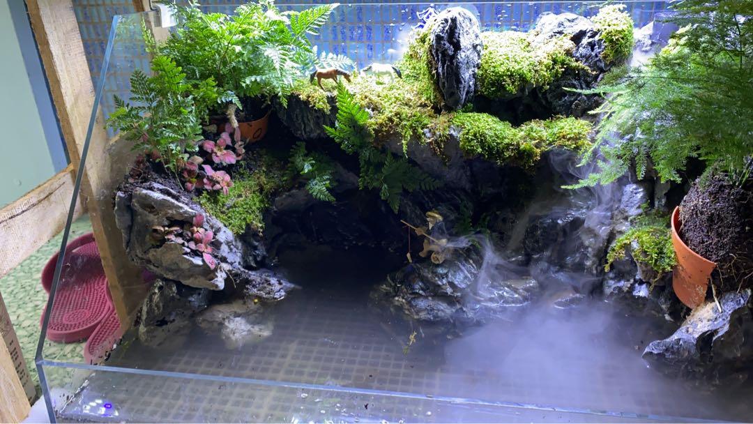 Terrarium hardscaping aquarium customisation, Furniture & Home Living ...