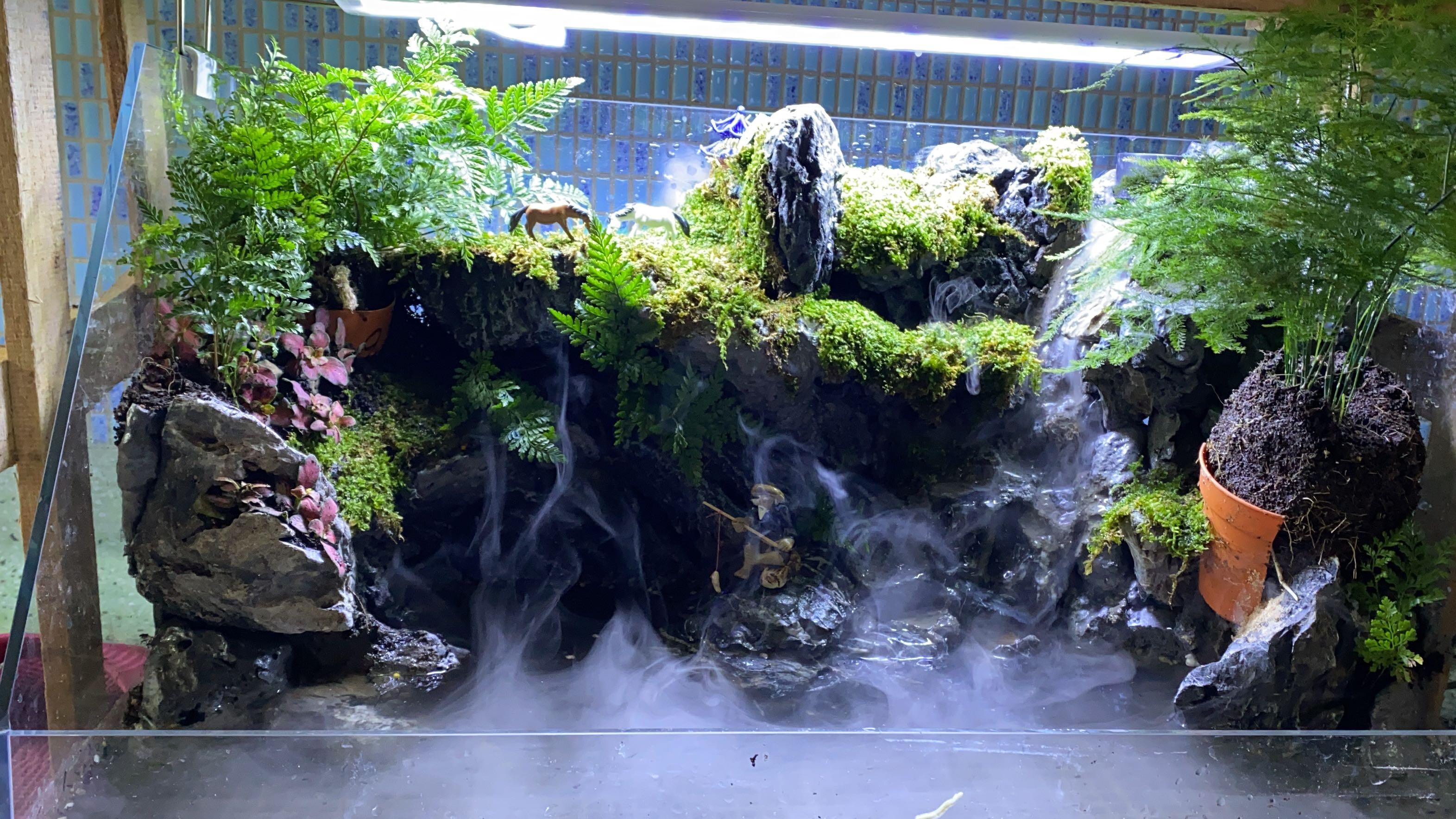 Terrarium hardscaping aquarium customisation, Furniture & Home Living ...