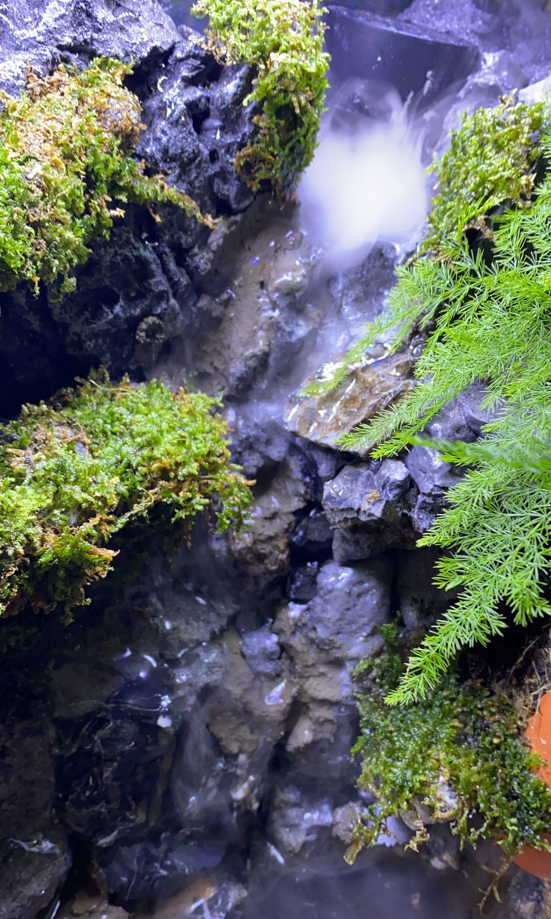 Terrarium hardscaping aquarium customisation, Furniture & Home Living ...