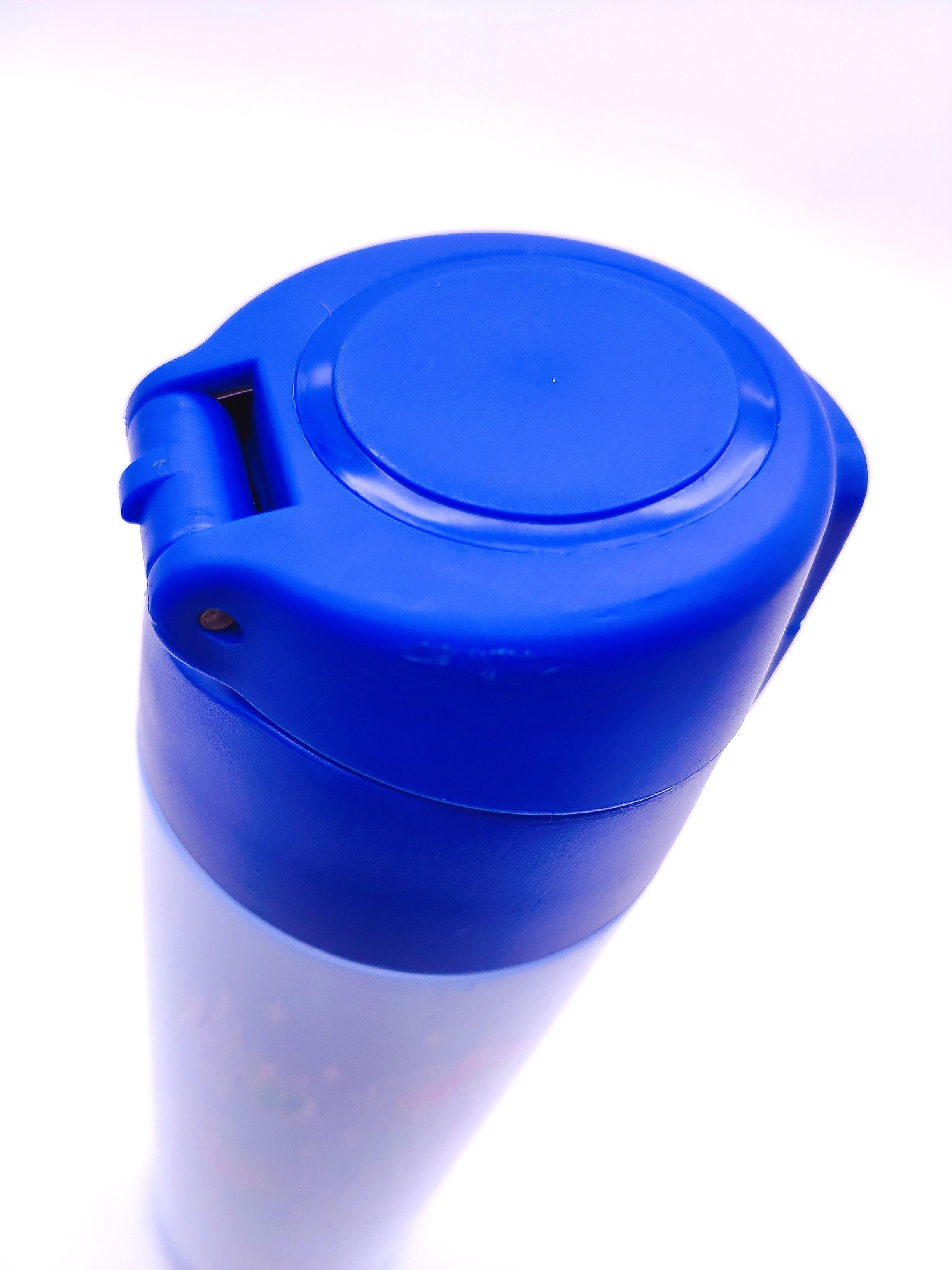 Tokyo Disney Resort Thermal Flash, TV & Home Appliances, Kitchen ...