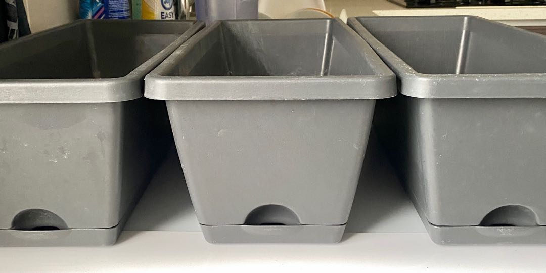 Triple plant boxes, Furniture & Home Living, Gardening, Plants & Seeds ...