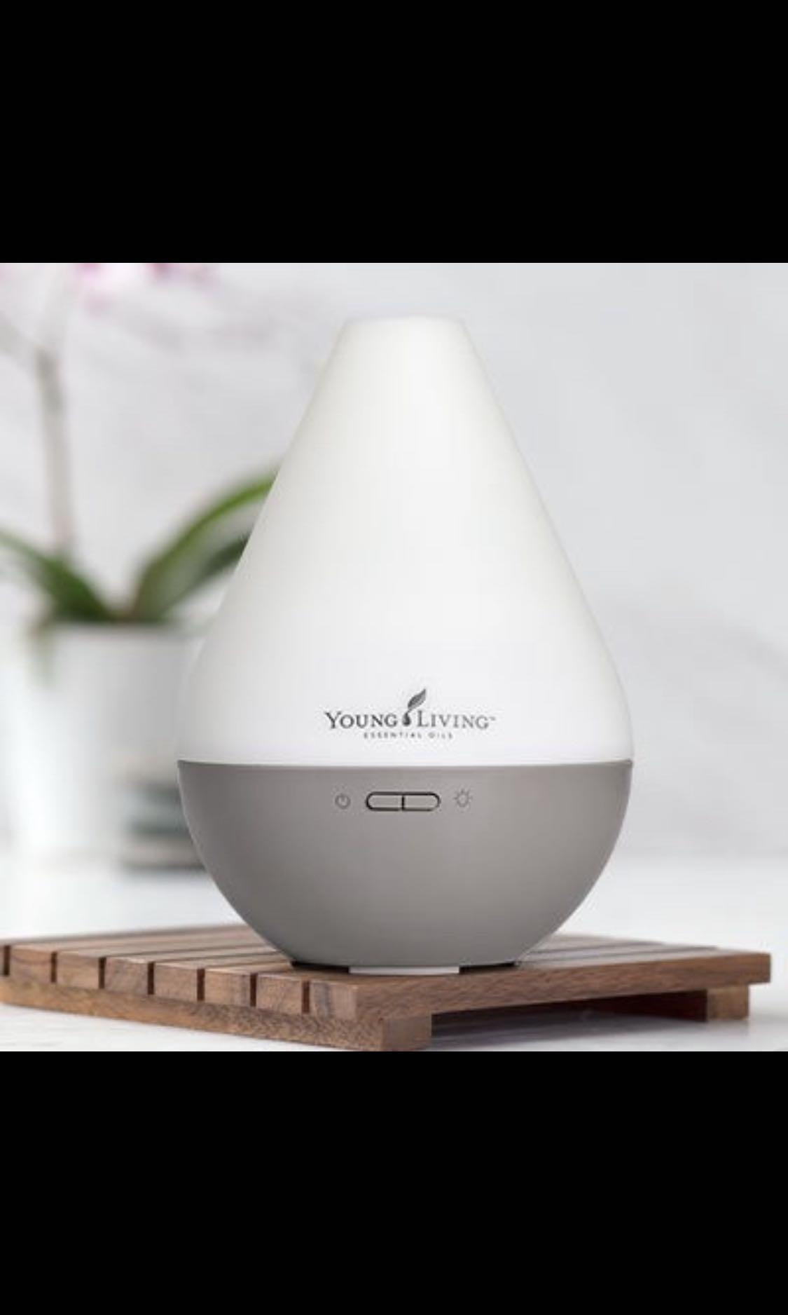 Young Living Dewdrop Diffuser, Furniture & Home Living, Home Decor ...