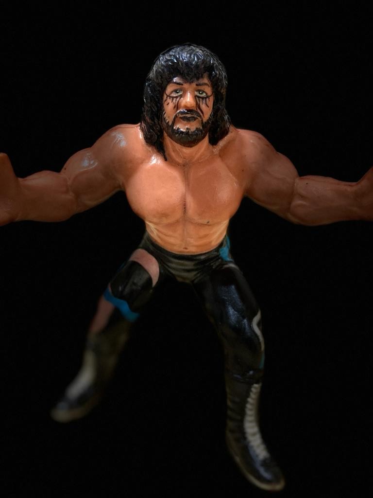WCW Galoob Jimmy Garvin (NWA,WWF,WWE,AEW) Freebirds, Hobbies & Toys ...