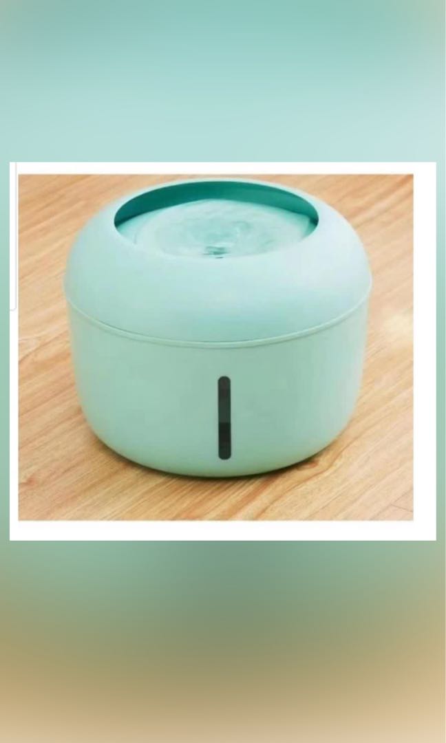 BN Authentic Tom Cat Pakeway Pet Drinking Fountain Mint 2.5L for Dogs ...
