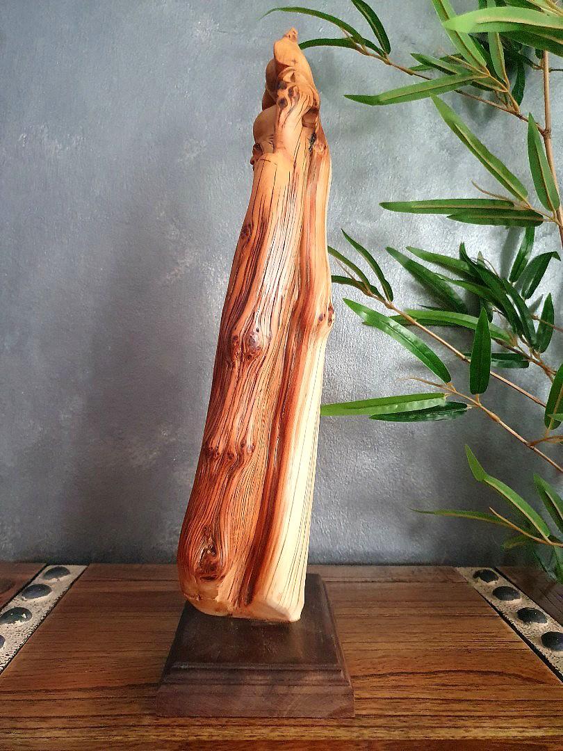 寿星公崖柏 Shou Xing Gong Thuja, Hobbies & Toys, Memorabilia & Collectibles ...
