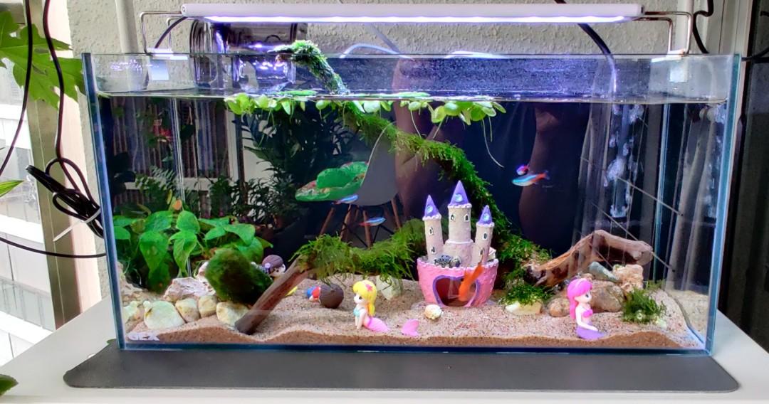 Gex Crystal Fish Tank., Pet Supplies, Homes & Other Pet Accessories on ...