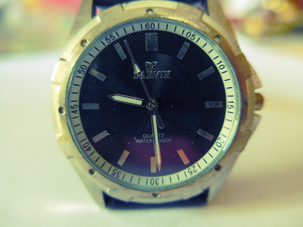 Dr Darvin Quartz Watch, Luxury, Watches on Carousell