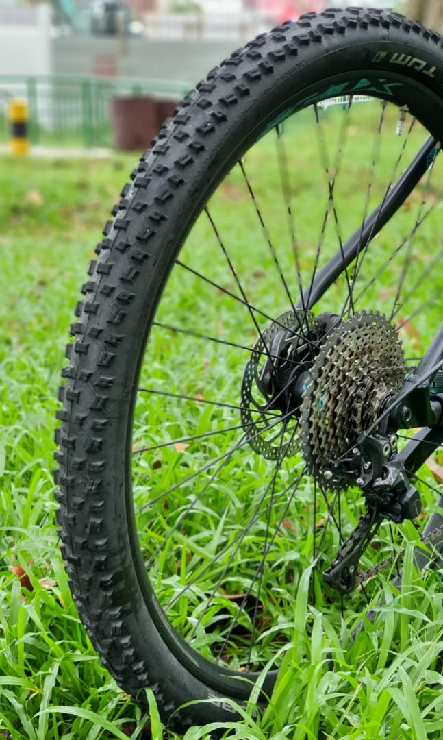 Polygon Xtrada 8 (L) 29", Sports Equipment, Bicycles & Parts, Bicycles on Carousell