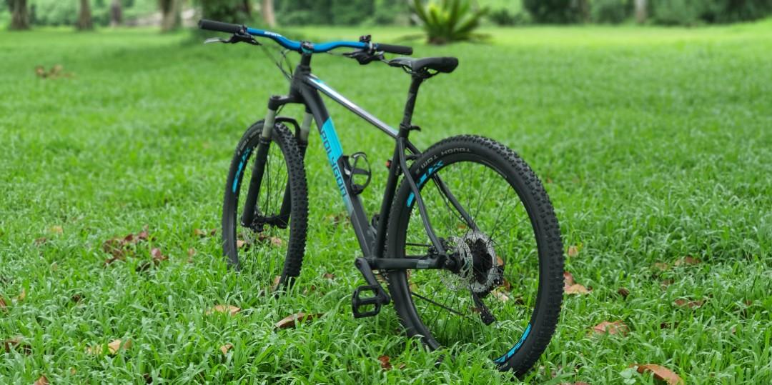 Polygon Xtrada 8 (L) 29", Sports Equipment, Bicycles & Parts, Bicycles ...