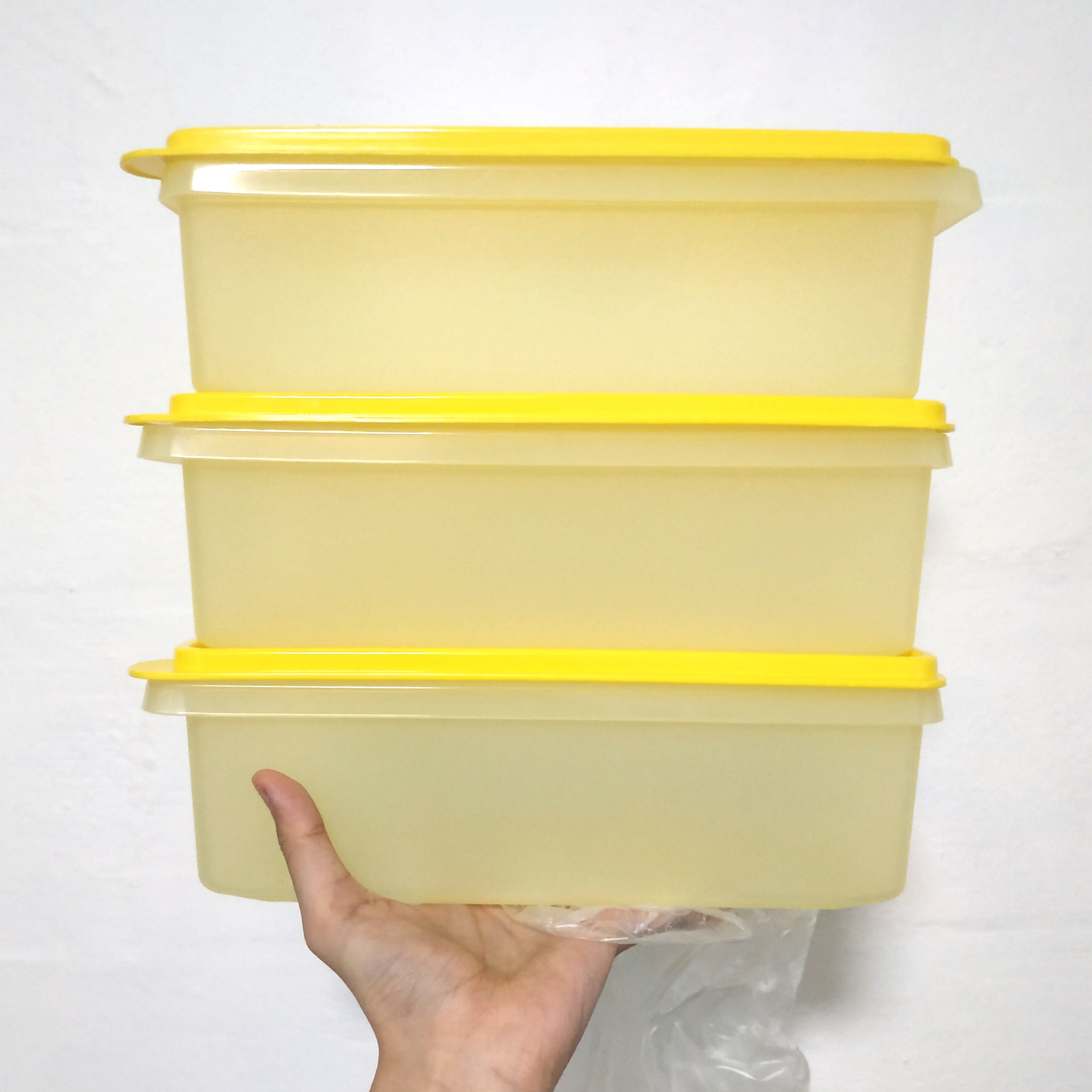 Tupperware 2.1L Fresh Keeper Rectangular Container Set of 3, TV & Home ...