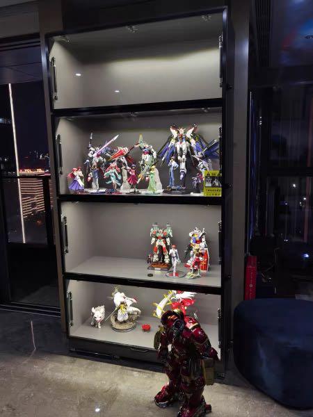 Dust Proof Display Cabinet Singapore | Cabinets Matttroy