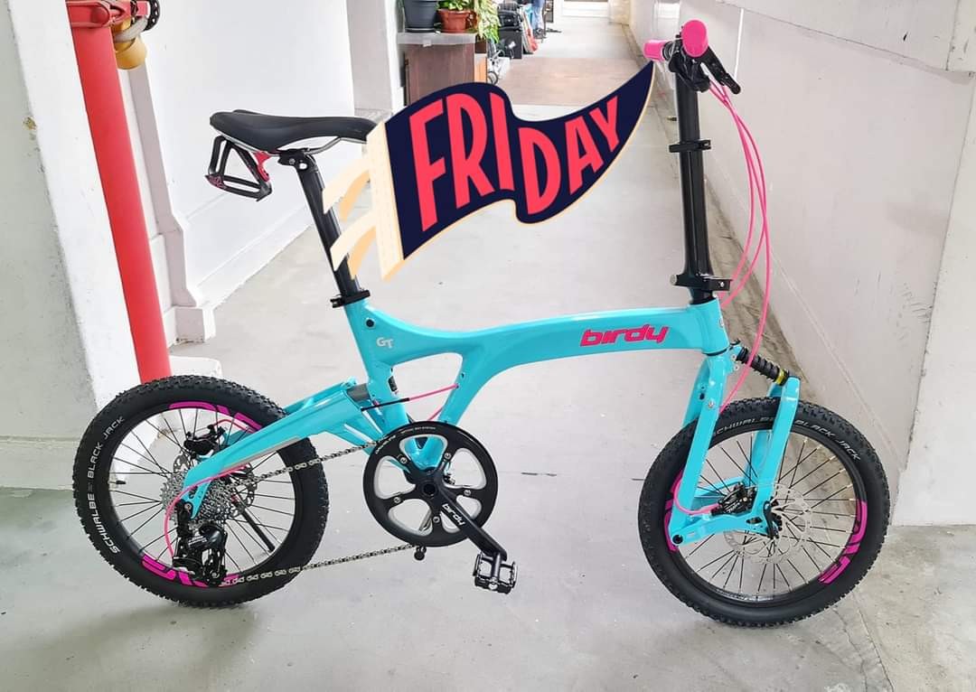 Birdy GT Gen 3, Sports Equipment, Bicycles & Parts, Bicycles on Carousell