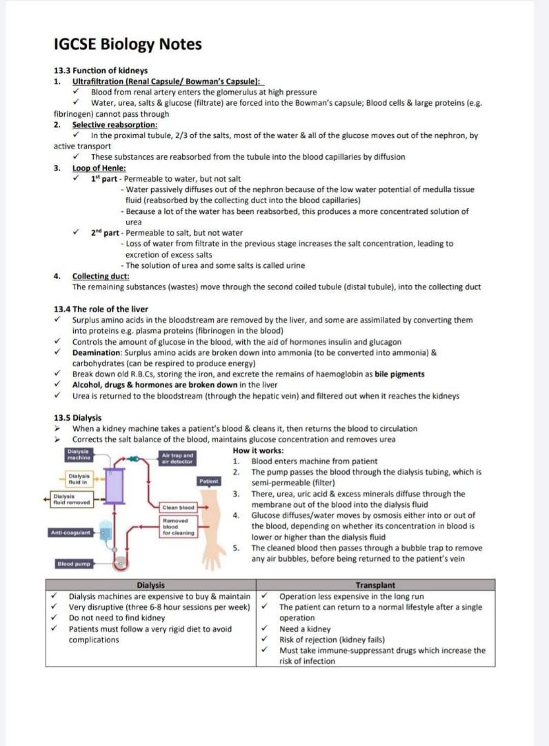 Detailed A* IGCSE Biology Notes, Hobbies & Toys, Books & Magazines ...