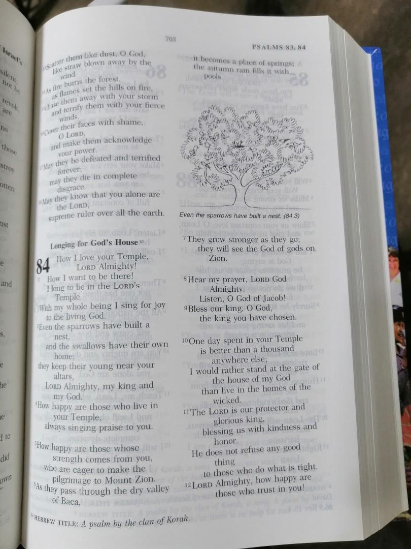 MAY THEY BE ONE BIBLE (GOOD NEWS TRANSLATION WITH DEUTEROCANONICAL ...