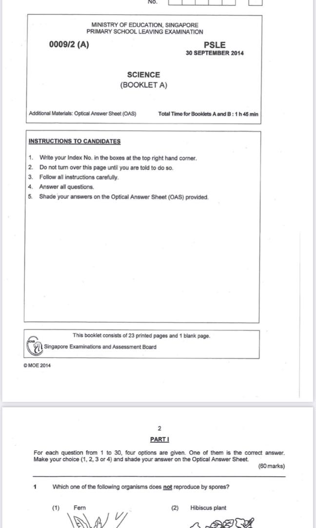 Past PSLE Exam paper 2014 to 2019, Everything Else on Carousell