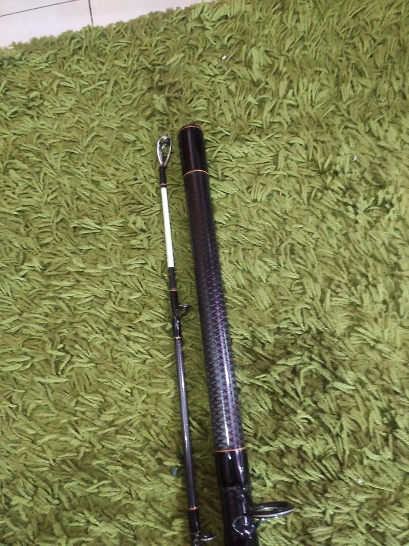 Penn powergraph surf multiplier rod 12ft, Sports Equipment, Fishing on ...