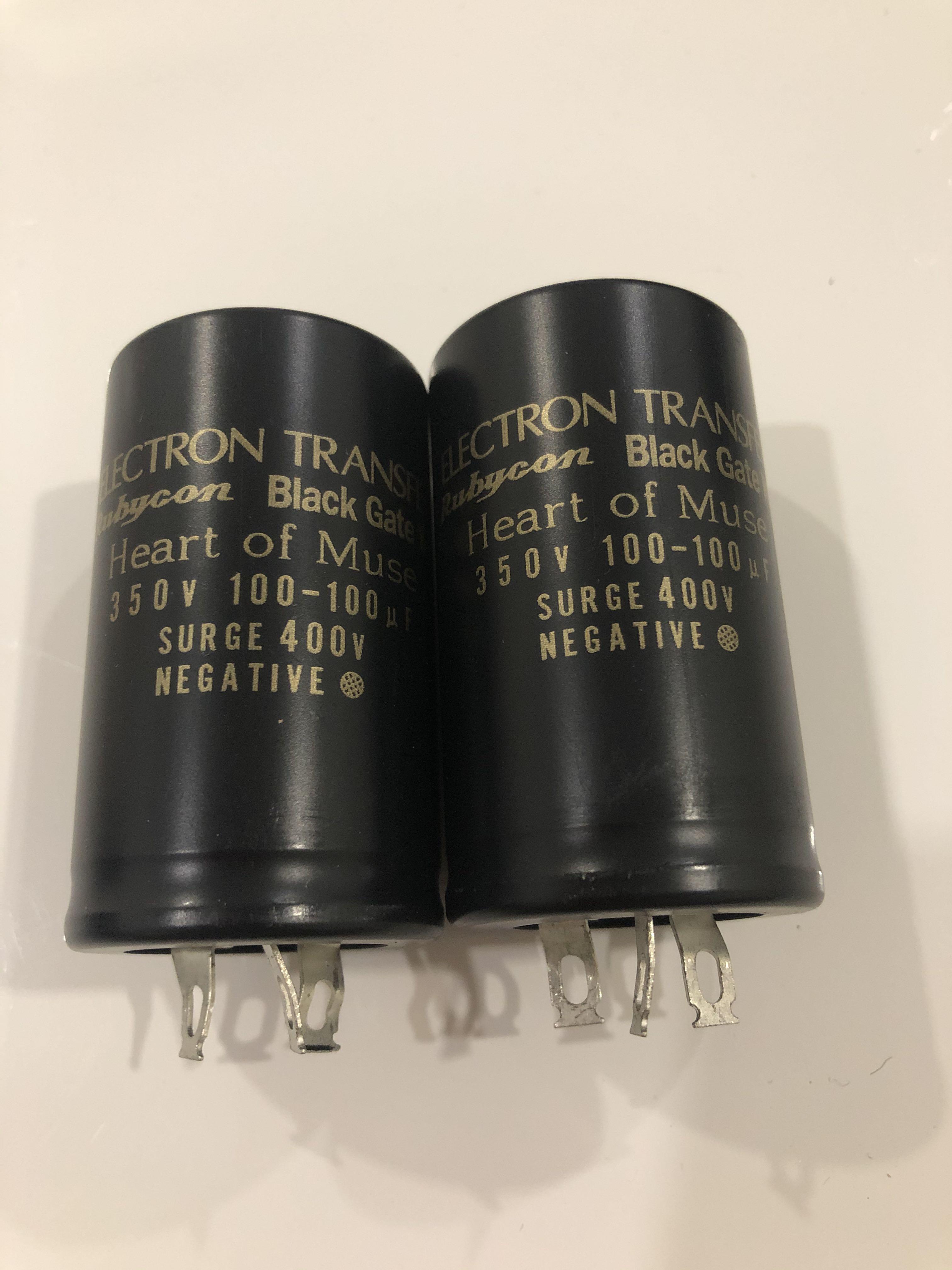 BlackGate WKZ Capacitor 100uF + 100uF / 350V, Audio, Portable Audio Accessories on Carousell