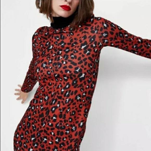 Zara leopard print bodycon midi dress, Fesyen Wanita, Pakaian Wanita ...