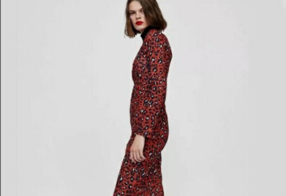 Zara leopard print bodycon midi dress, Fesyen Wanita, Pakaian Wanita ...