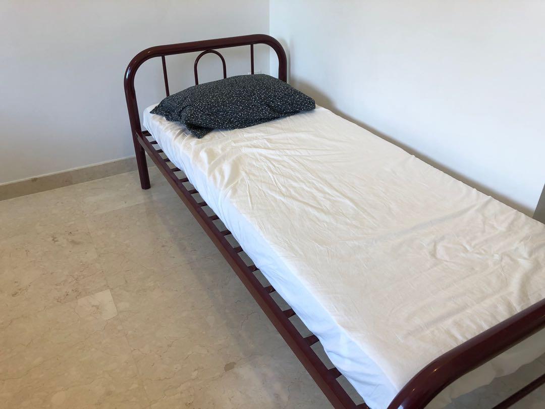 Single metal bed frame (burgundy red), Furniture & Home Living ...