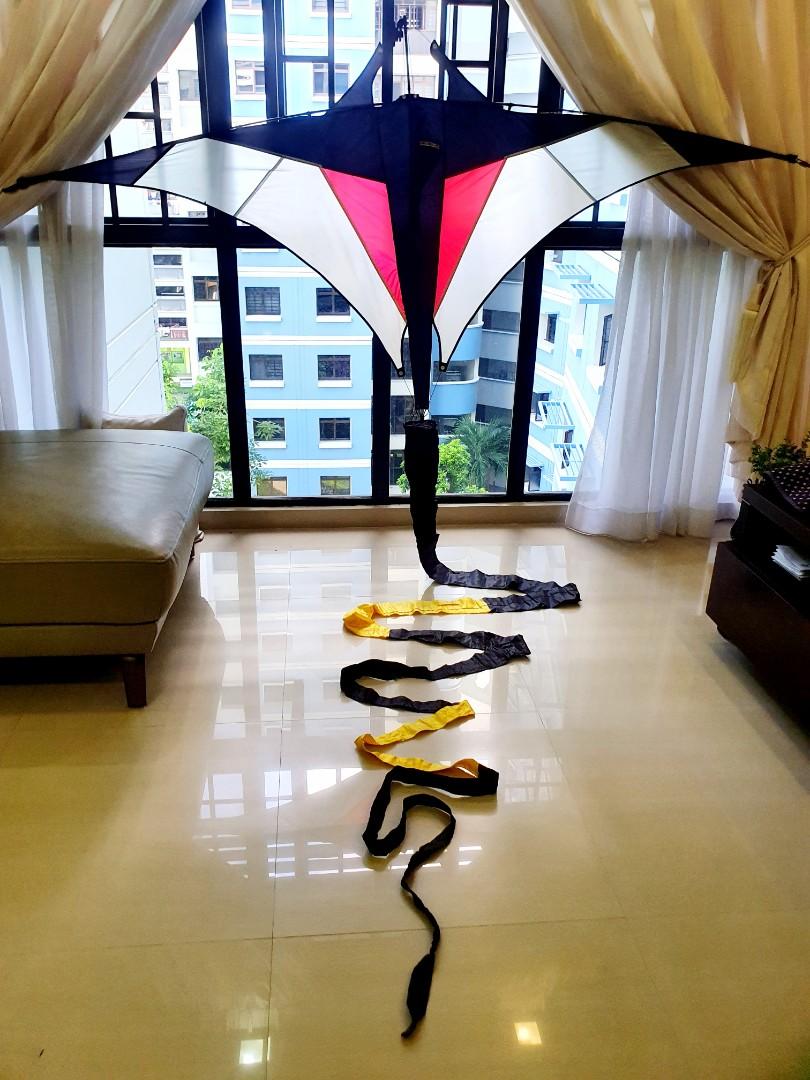 Stingray Kite, Sports Equipment, Sports & Games, Kites on Carousell