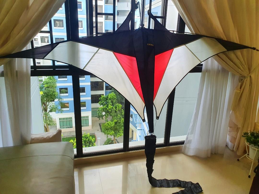 Stingray Kite, Sports Equipment, Sports & Games, Kites on Carousell