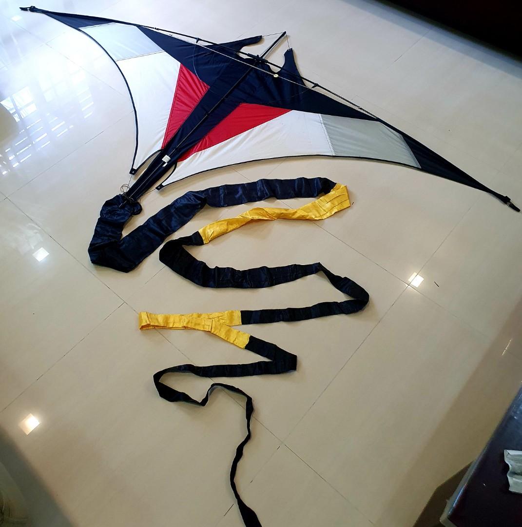 Stingray Kite, Sports Equipment, Sports & Games, Kites on Carousell