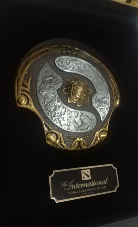 Dota 2 TI10 Collector's Aegis, Video Gaming, Gaming Accessories ...