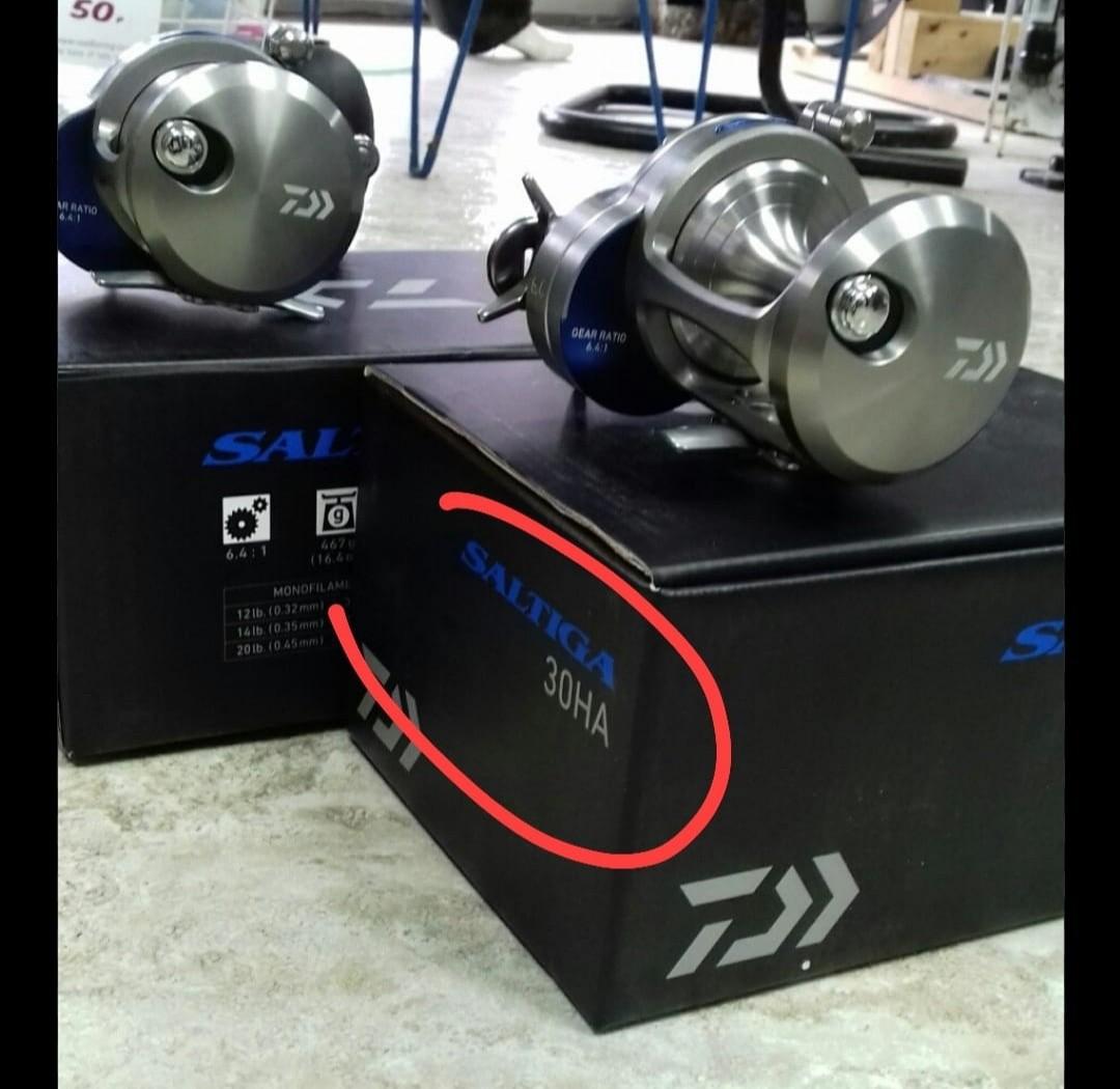 Daiwa Saltiga 30ha custom with mag, Sports Equipment, Fishing on Carousell
