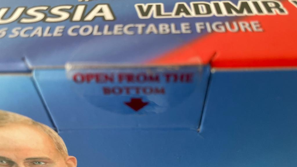 President of Russia - Vladimir Vladimirovich Putin R80085, Hobbies ...