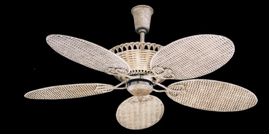 Ceiling Fan Cane, Furniture & Home Living, Lighting & Fans, Fans on ...