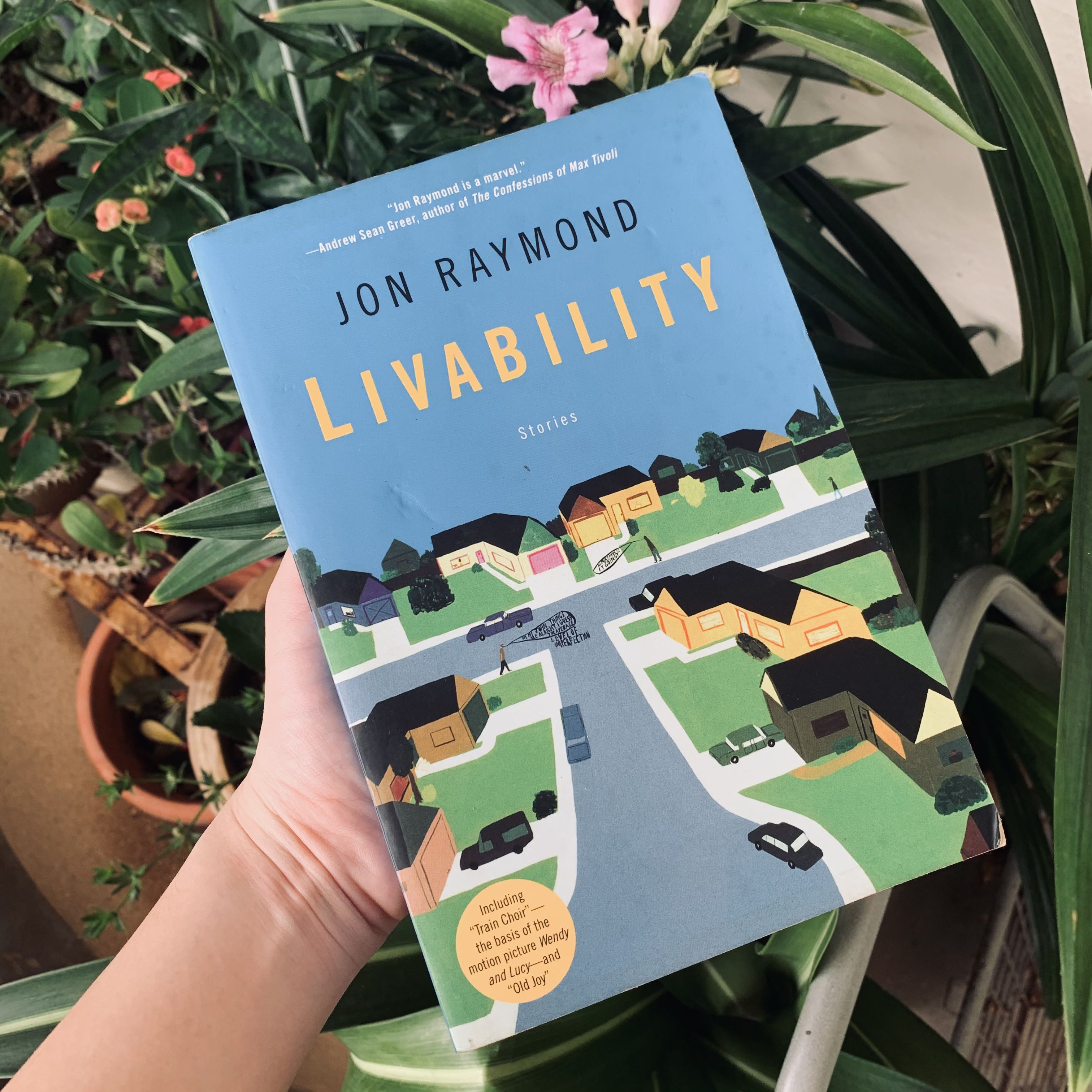 Livability - Jon Raymond - IB Lit, Hobbies & Toys, Books & Magazines ...