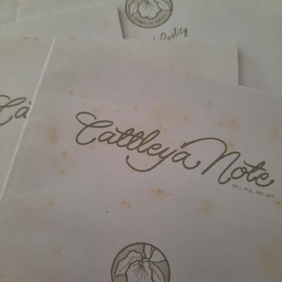 Cattleya Notes Binder Fillers Small (6 pcs), Hobbies & Toys, Stationary ...