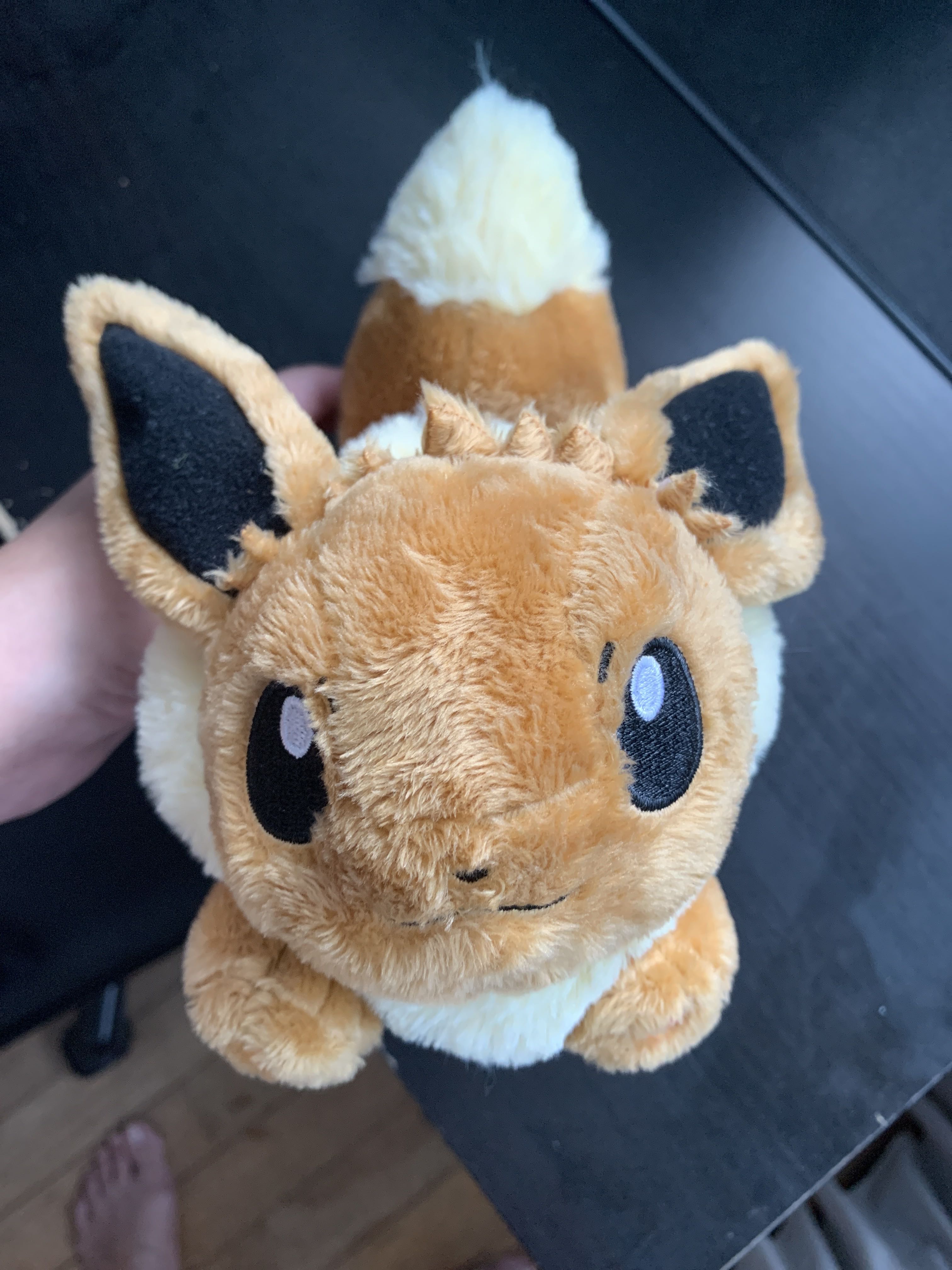 Eevee Pikachu Squirtle Bulbasaur Marill Chansey Ditto Pokemon Neopet ...
