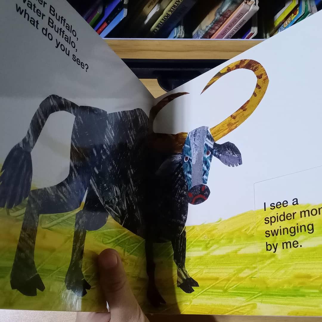 Eric Carle: Panda Bear,Panda Bear, What Do You See? Slide and Find Book ...