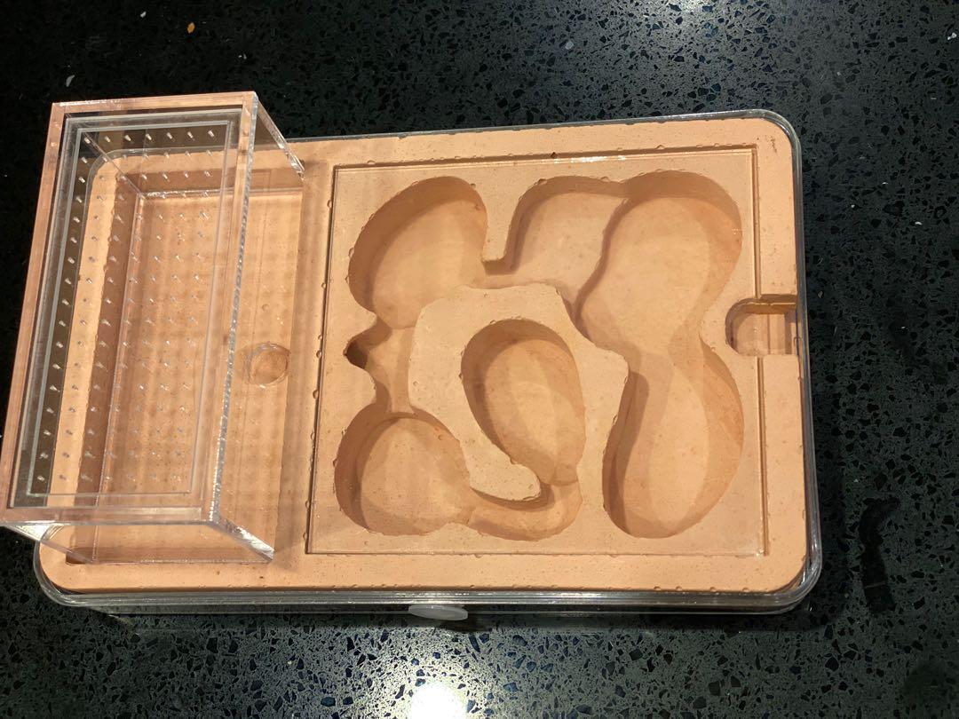 Small plaster formicarium, Pet Supplies, Homes & Other Pet Accessories ...