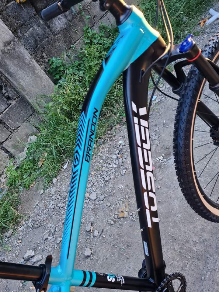TOSEEK BRANDON ( small frame ) 29er, Sports Equipment, Bicycles & Parts ...
