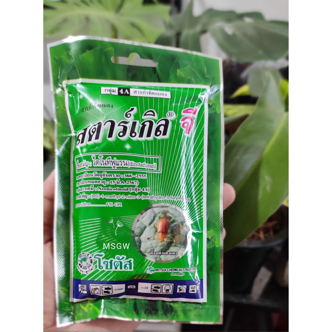 Starkle G Systemic Insecticide iwas APHIDS at mealy bugs, Furniture ...