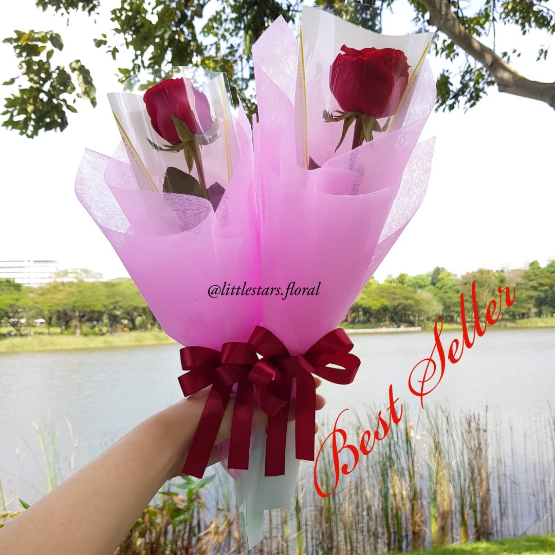 Fresh Single Stalk Rose, Hobbies & Toys, Flowers & Bouquets on Carousell