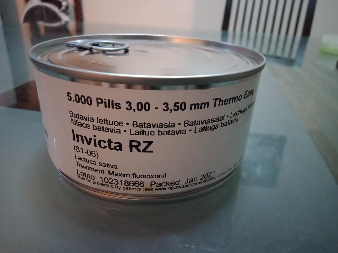 Rijk Zwaan Invicta RZ lettuce batavia seeds 5000, Furniture & Home ...