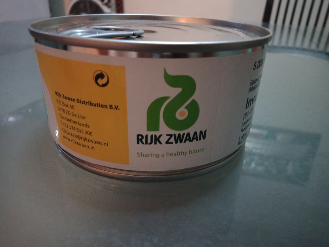 Rijk Zwaan Invicta RZ lettuce batavia seeds 5000, Furniture & Home ...