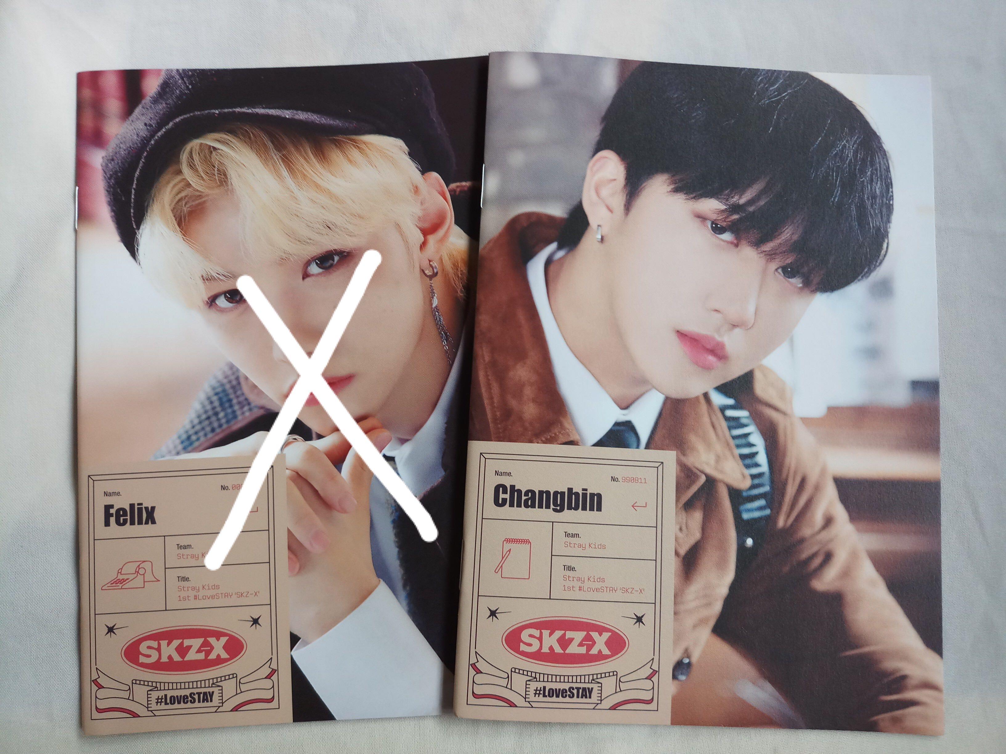 stray kids skz-x photobook, Hobbies & Toys, Memorabilia & Collectibles ...
