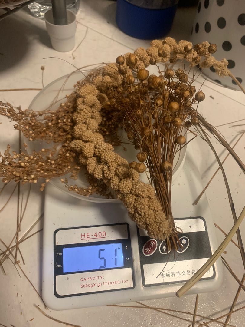 Flax spray millet spray, Pet Supplies, Pet Food on Carousell