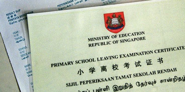 Psle Chinese oral compo paper2, Hobbies & Toys, Books & Magazines ...