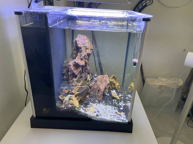Fluval spec 10, Sports Equipment, Fishing on Carousell