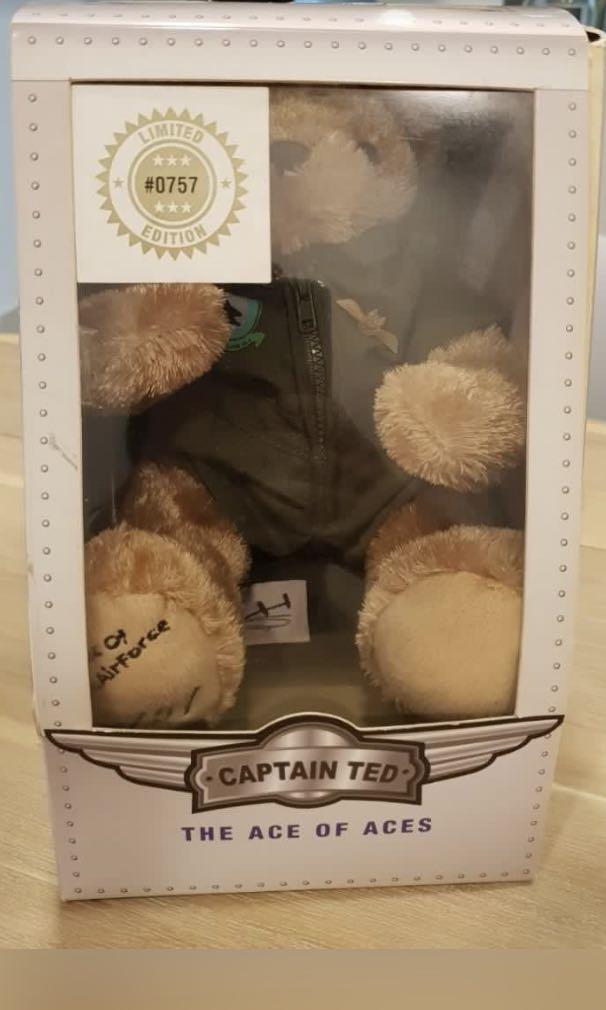 Captain Ted the ace of aces bear rsaf plane pins chinook seahawk apache ...